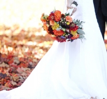 Venus Hotel Group – Venus Plus